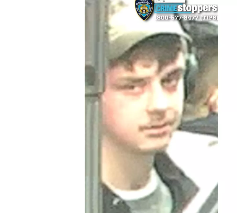 Police Search for Suspect After Elderly Man Pushed Off Train onto ...