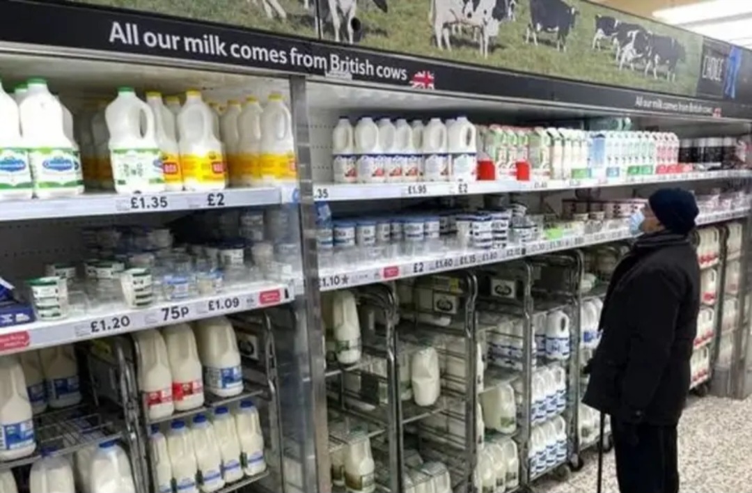 "Stop Drinking Milk! UK Households Urged to Ditch Semi-Skimmed, Skimmed ...