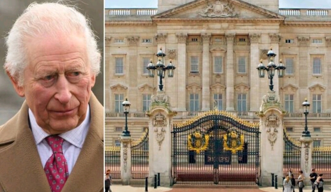 Good Morning Britain Star BLASTS King Charles Over Shocking Palace ...