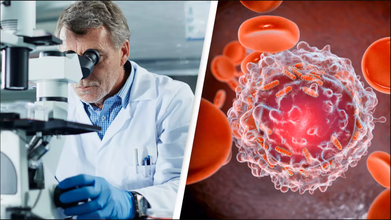 Scientists Discover a Way to Turn Cancer Cells Back to Normal Instead ...