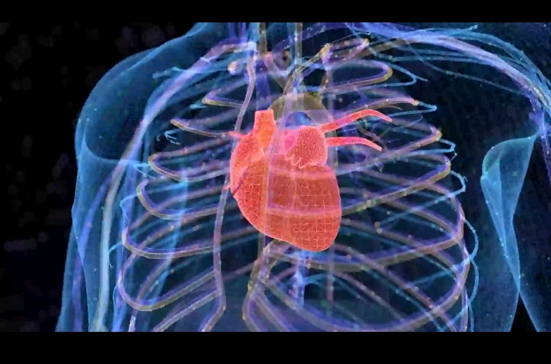 Hidden symptoms of having 'hole in heart' as thousands could have ...